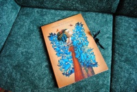 Книга: "Мадам Баттерфляй". Купить книгу, читать рецензии | Madam ...