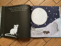 Книга: "Что скрывает зима?" - Кэррон Браун. Купить книгу, читать ...