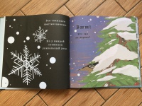 Книга: "Что скрывает зима?" - Кэррон Браун. Купить книгу, читать ...