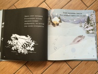 Книга: "Что скрывает зима?" - Кэррон Браун. Купить книгу, читать ...