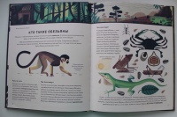 Книга: "Без ума от обезьян" - Оуэн Дэйви. Купить книгу, читать рецензии ...