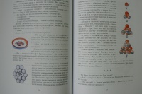 Книга: "Архимедово лето, или История содружества юных математиков ...