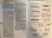 Книга: "Наглядная биохимия" - Кольман, Рем. Купить книгу, читать ...