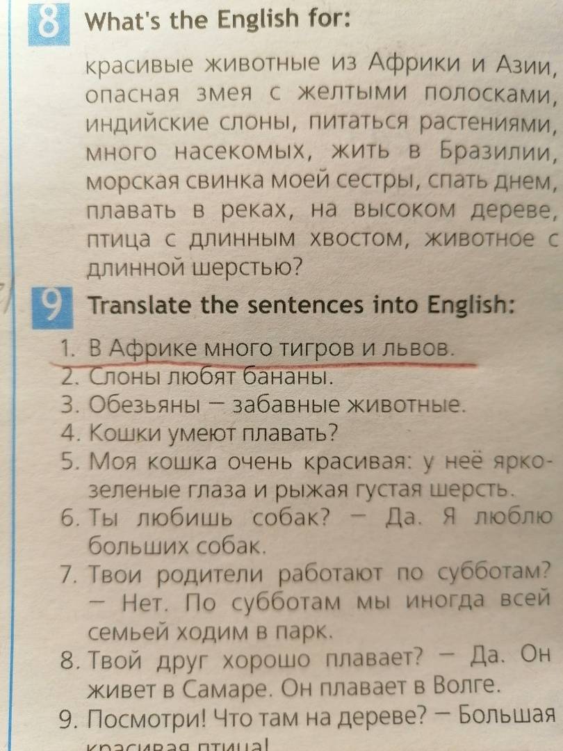 Серия книг Английский в фокусе Spotlight | издательство Просвещение ...